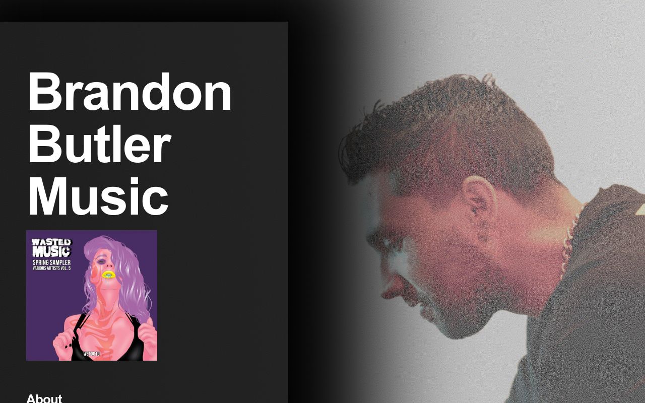 Brandon Butler Music